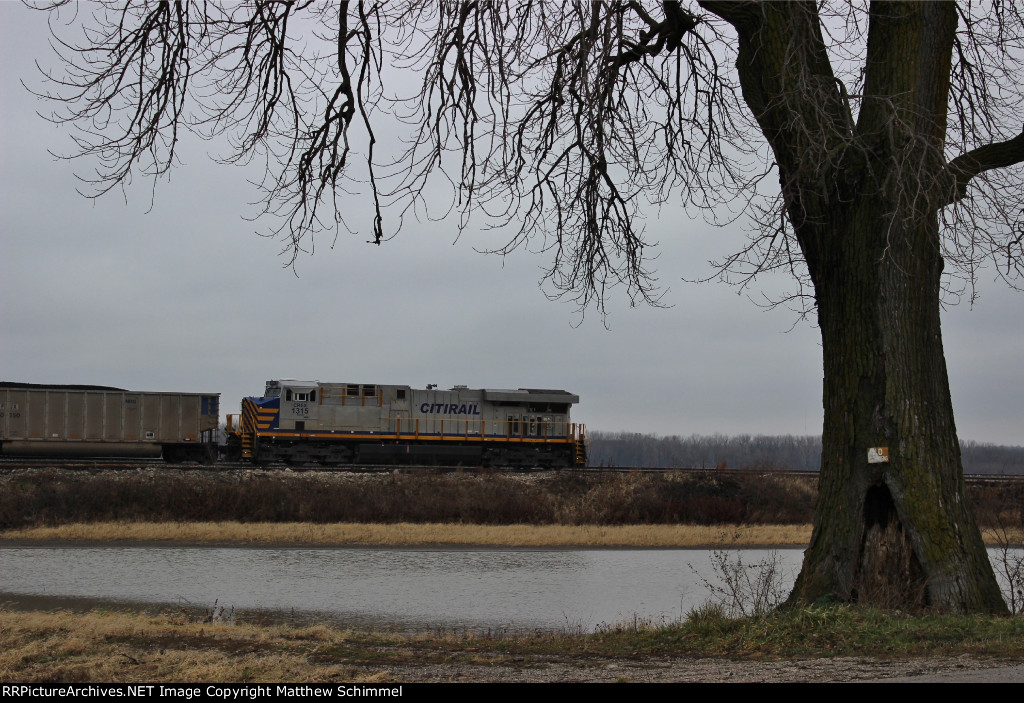 This Tree Has Probably Seen It All